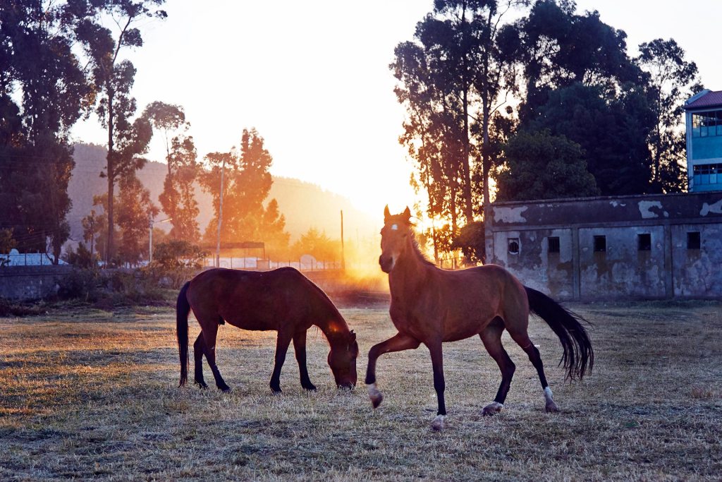 LANDSCAPES - Beetle Rhind Landscape Photographer